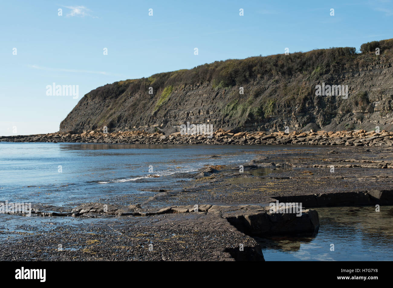 Rock pools on the beach at Kimmeridge Bay, Dorset Stock Photo - Alamy