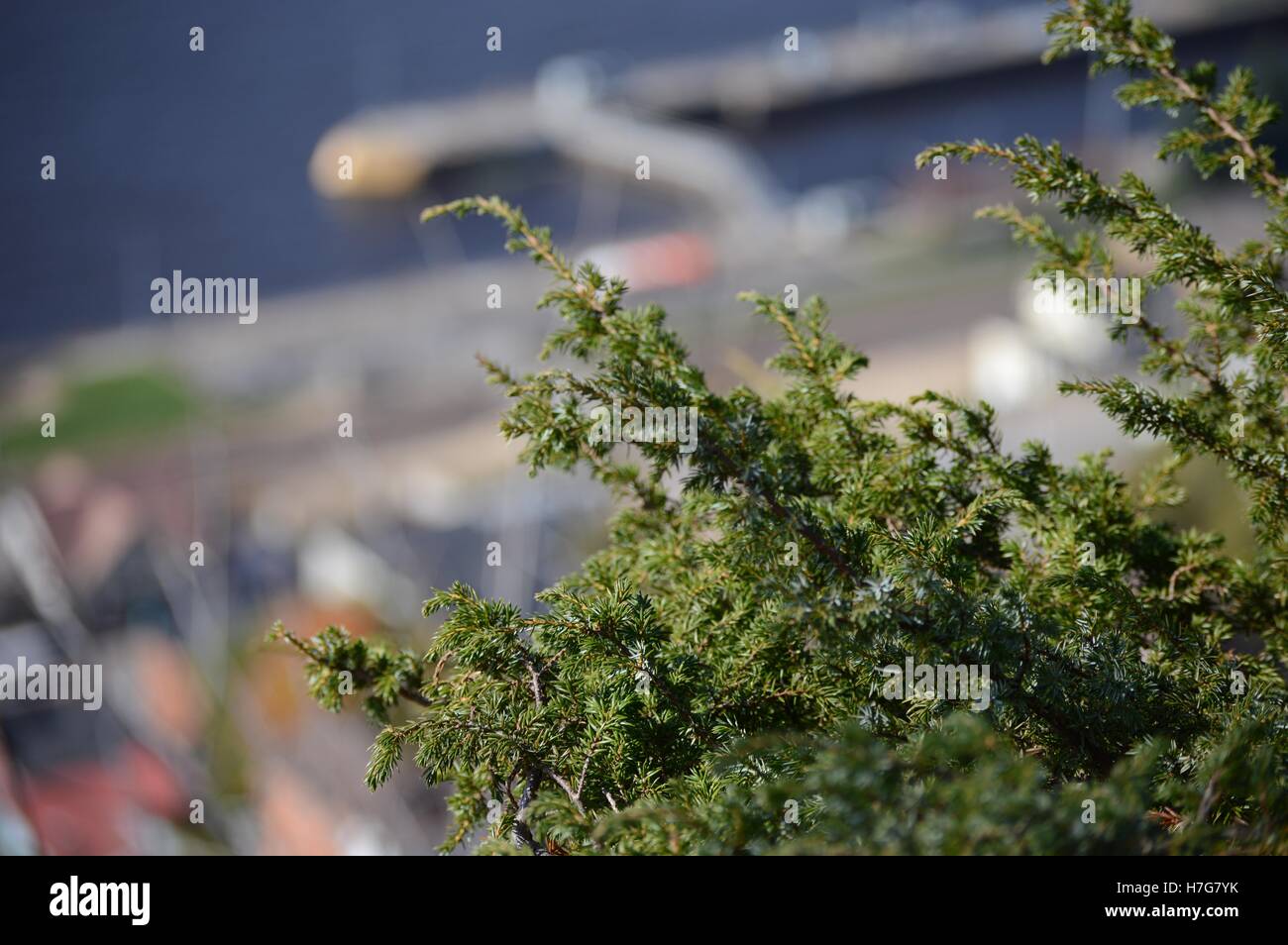 Taken from the top viewing point of Alma, MN Stock Photo - Alamy
