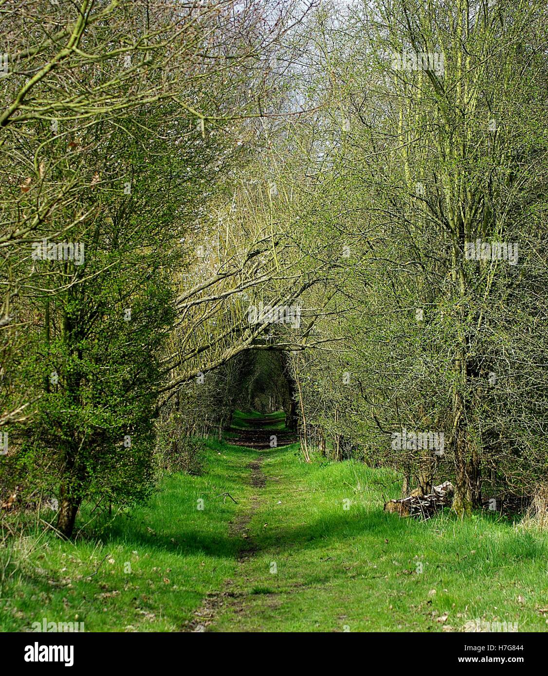 Tunnel landscape hi-res stock photography and images - Alamy