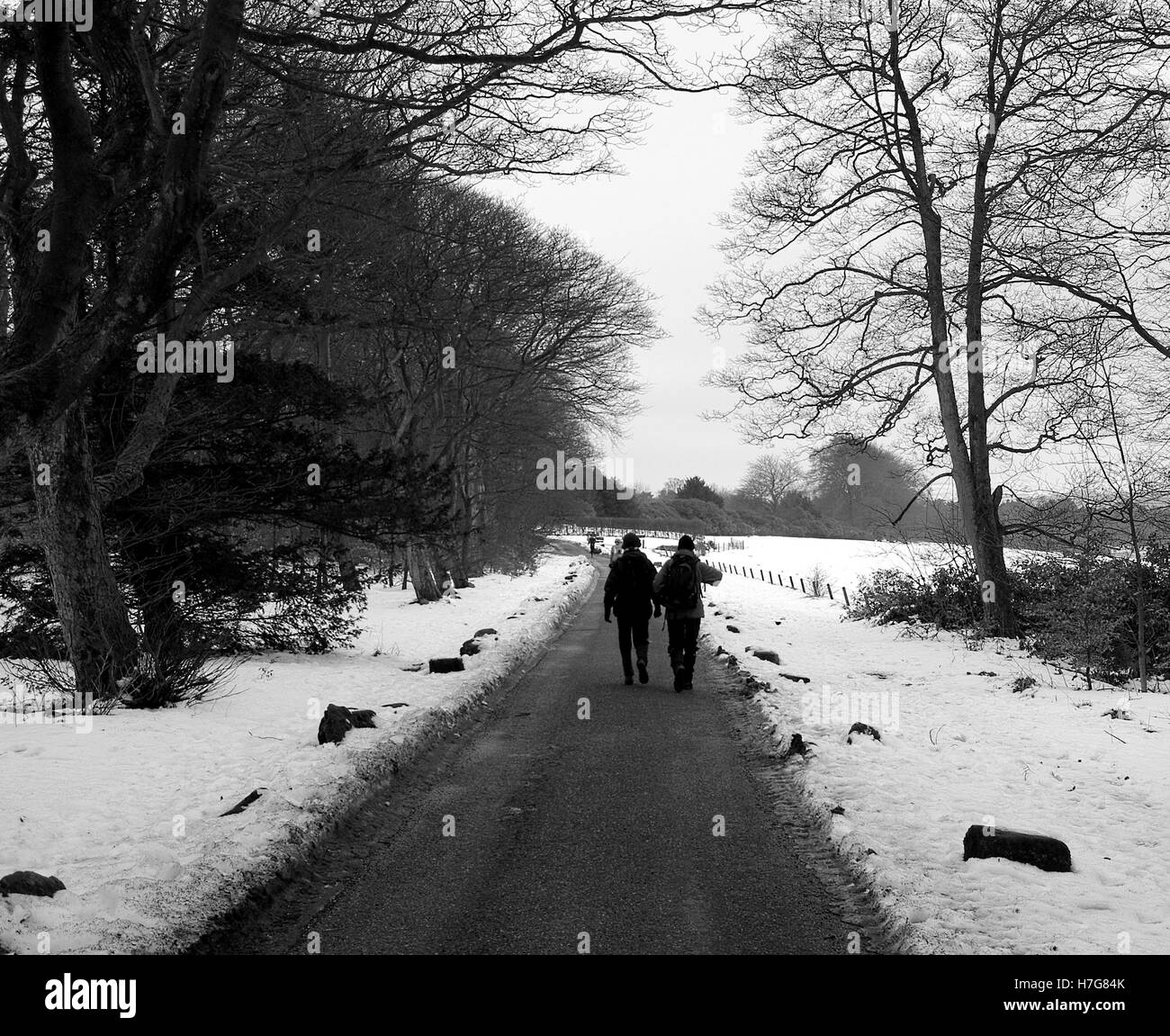 The great Sheffield snow 2010 Stock Photo - Alamy