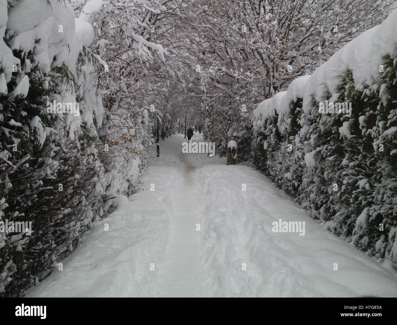 Sheffield snow hi-res stock photography and images - Alamy