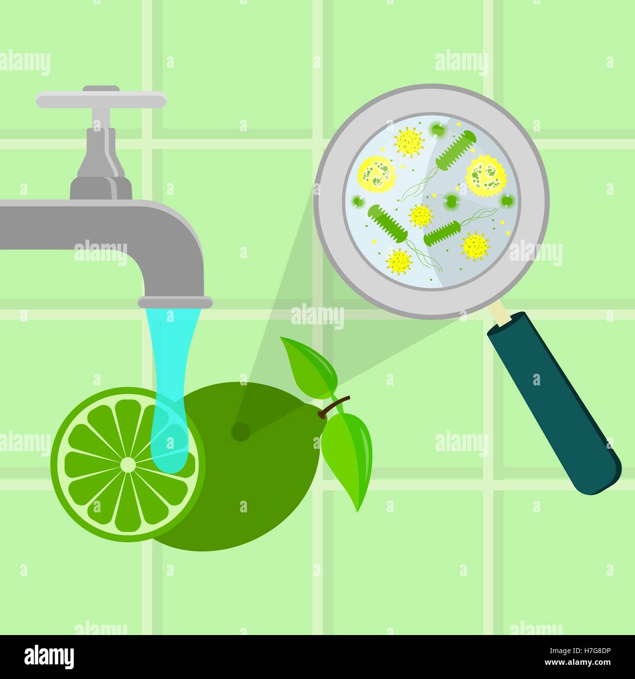 Contaminated lime being cleaned and washed in a kitchen. Microorganisms ...