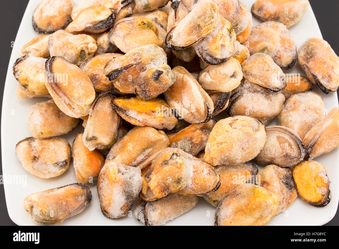Frozen Mussels on a Plate Closeup Stock Photo - Alamy