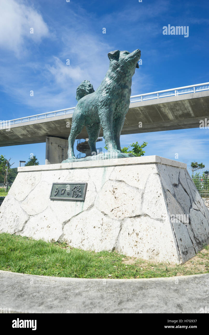 Shiro the Dog on Aka Island, Okinawa Islands, Japan Stock Photo - Alamy