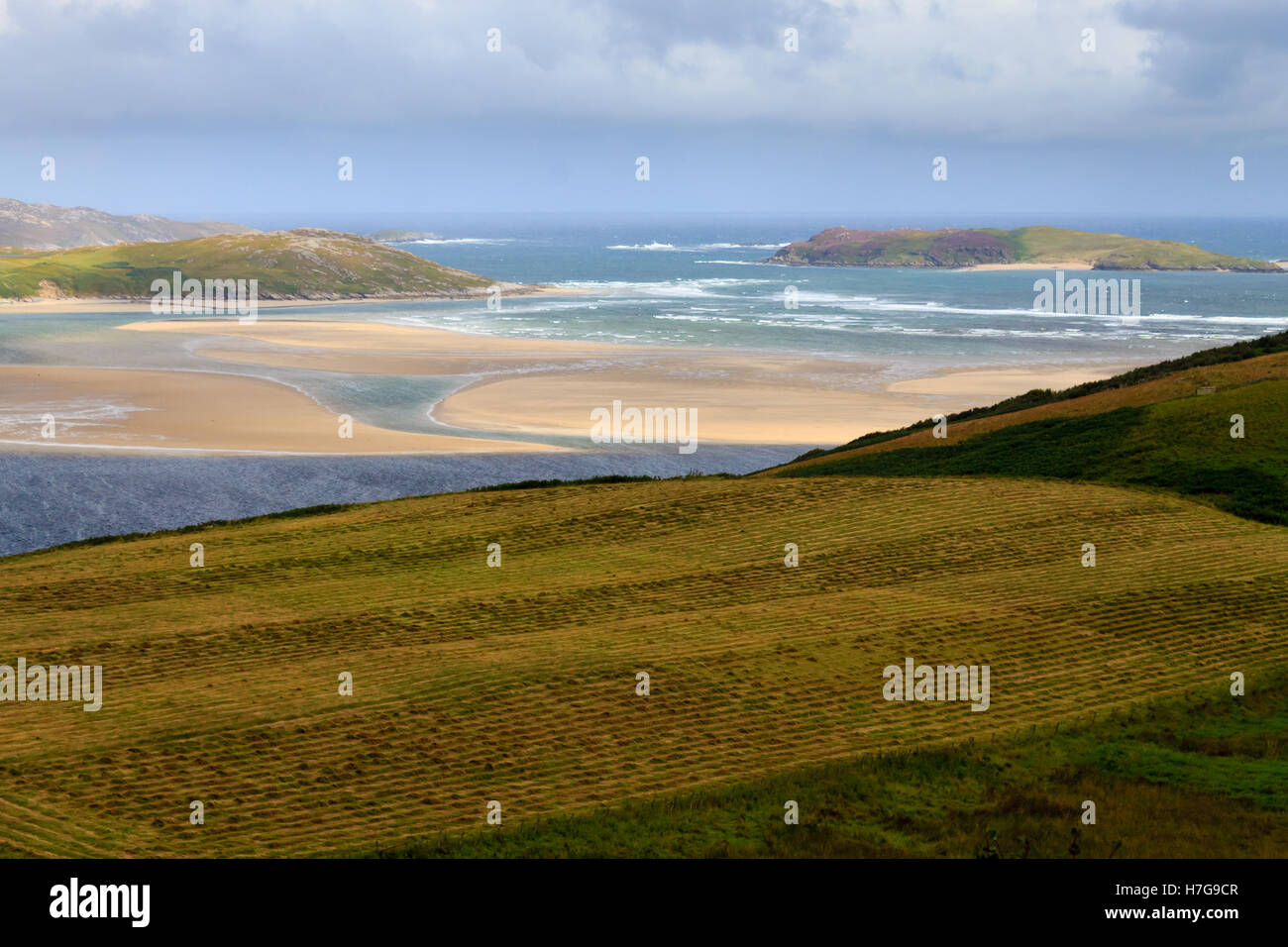 Rural scottish panorama. Erica arborea meadows. Travel destinations ...