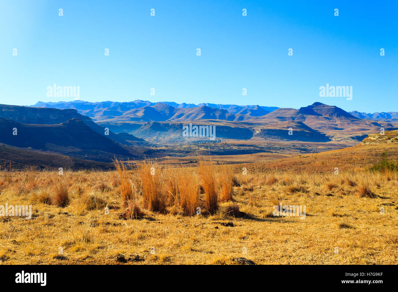 Orange free state landscape hi-res stock photography and images - Alamy