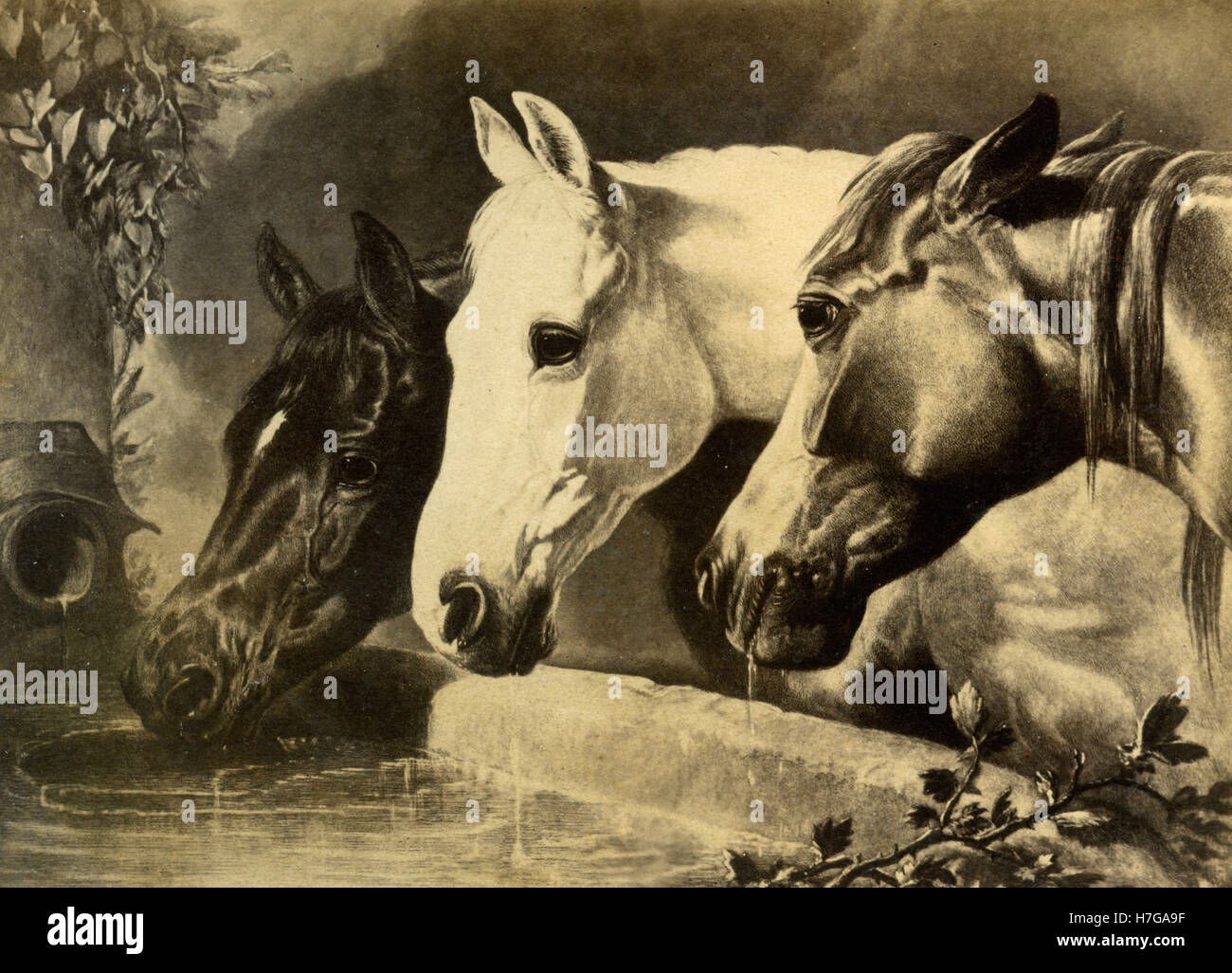 Three members of temperance society hi-res stock photography and images ...