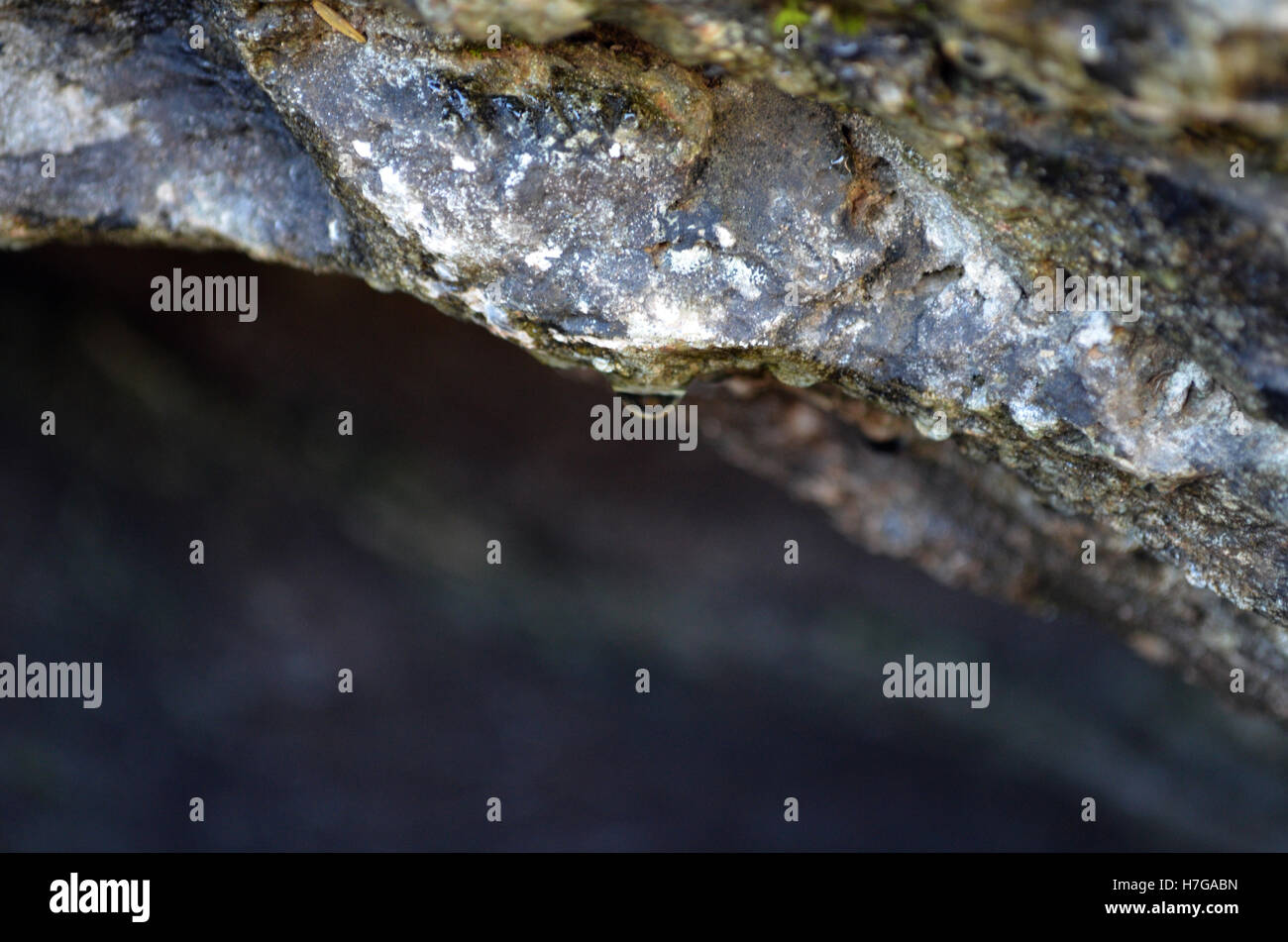 Image of abstract rock shape Stock Photo - Alamy