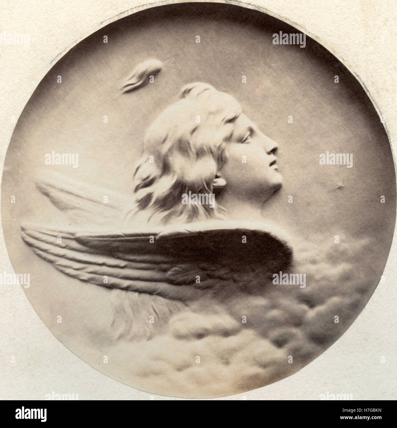 Angel head hi-res stock photography and images - Alamy