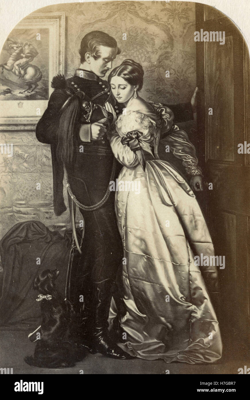 Black brunswickers hi-res stock photography and images - Alamy