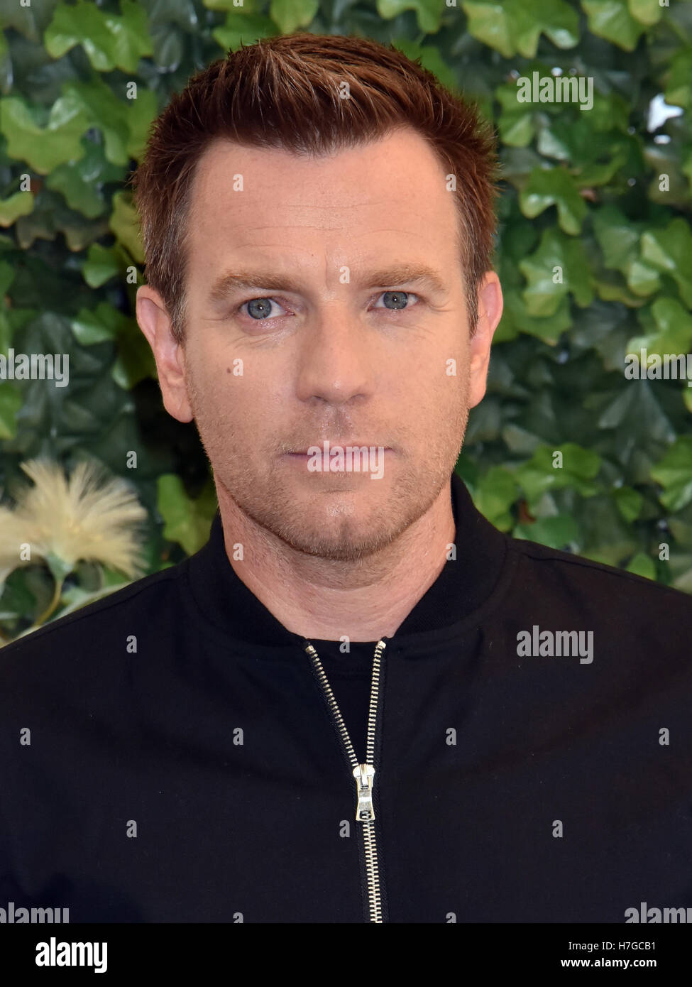 American pastoral rome photocall featuring hi-res stock photography and ...