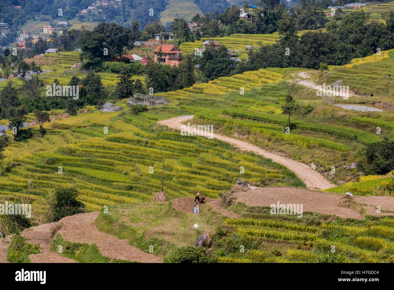 Nepalese workers hi-res stock photography and images - Alamy