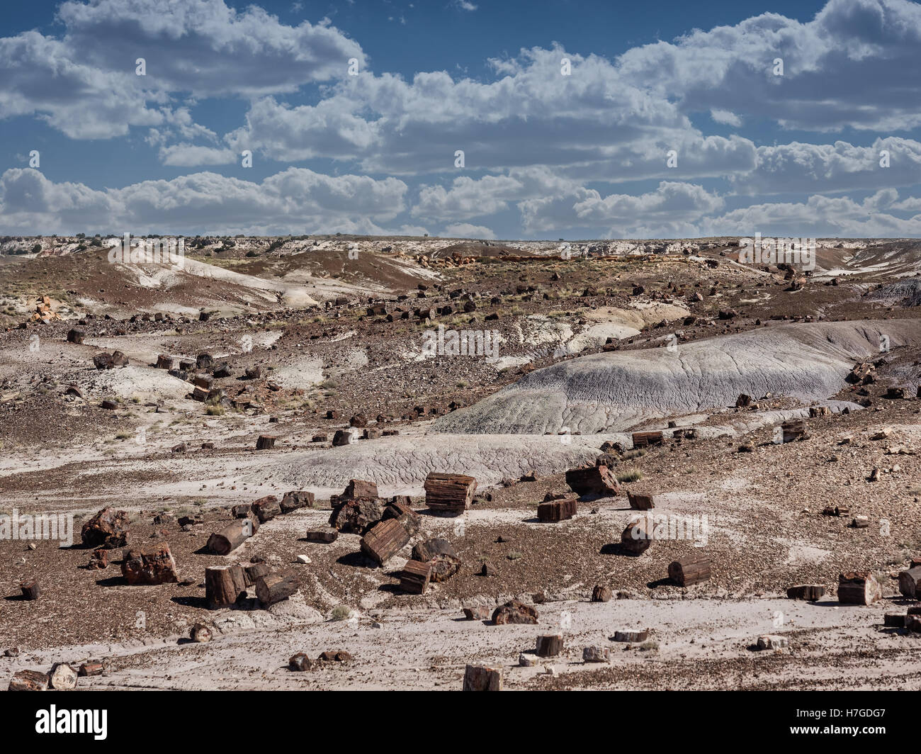 Holbrook arizona landscape hi-res stock photography and images - Alamy