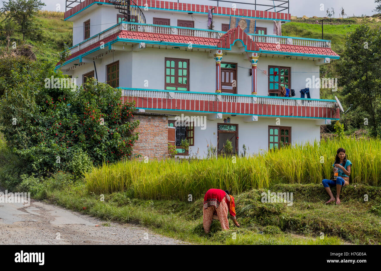 Nepalese workers hi-res stock photography and images - Alamy
