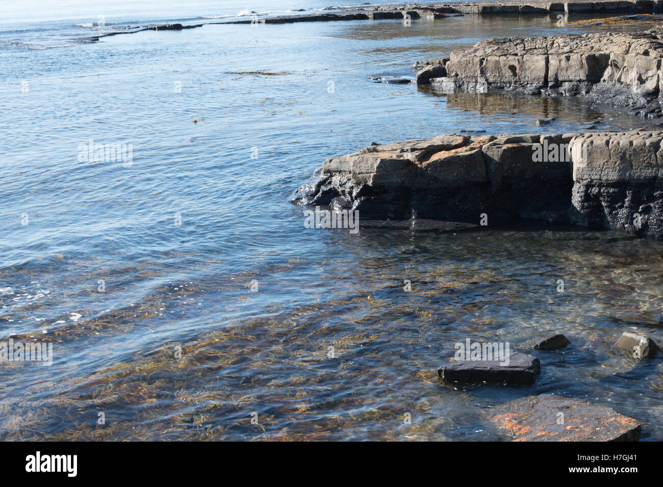 Rock pools on the beach at Kimmeridge Bay, Dorset Stock Photo - Alamy