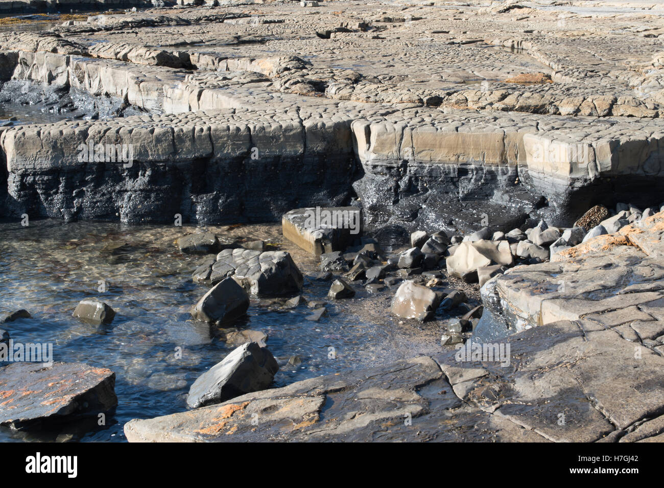 Rock pools on the beach at Kimmeridge Bay, Dorset Stock Photo - Alamy