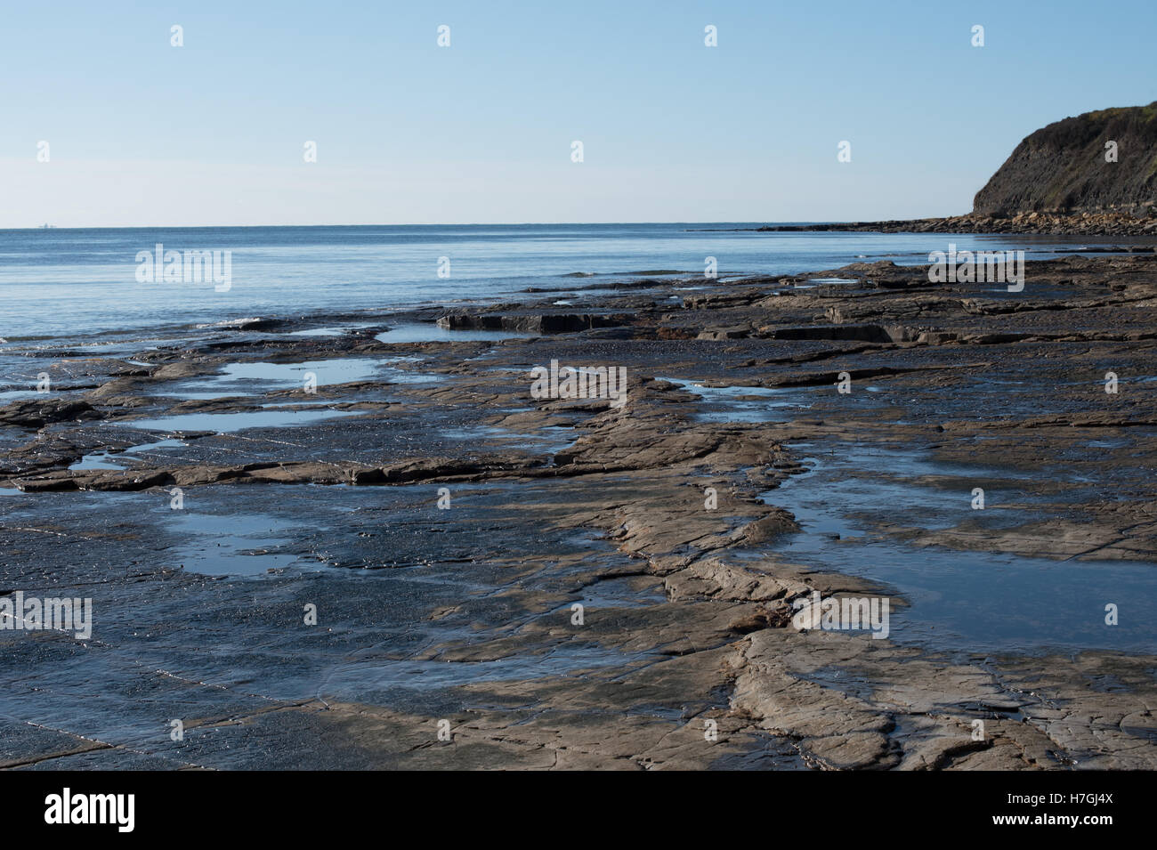 Rock pools in the limestone ledges, Kimmeridge Bay, Dorset Stock Photo ...