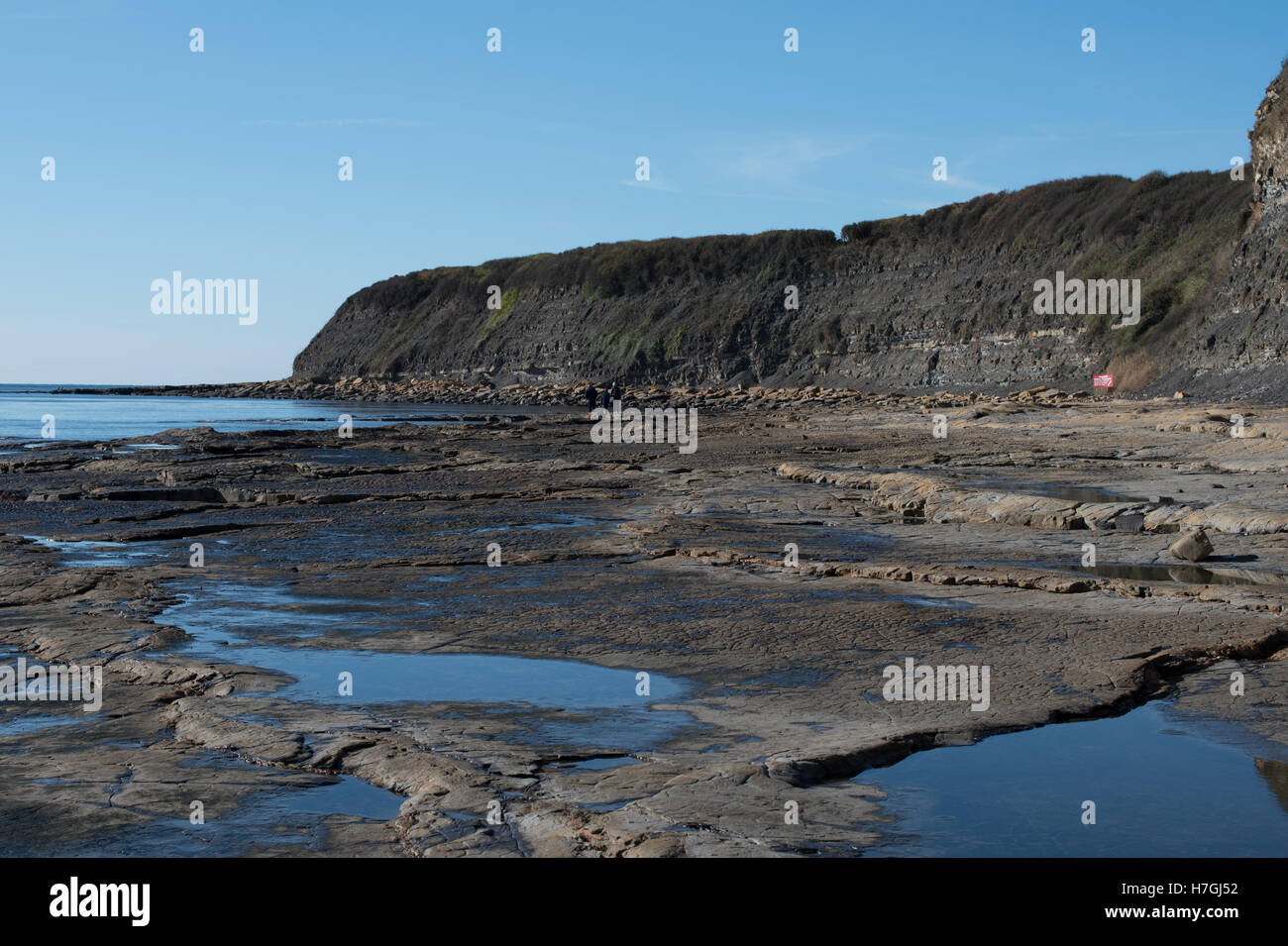 Rock pools in the limestone ledges, Kimmeridge Bay, Dorset Stock Photo ...