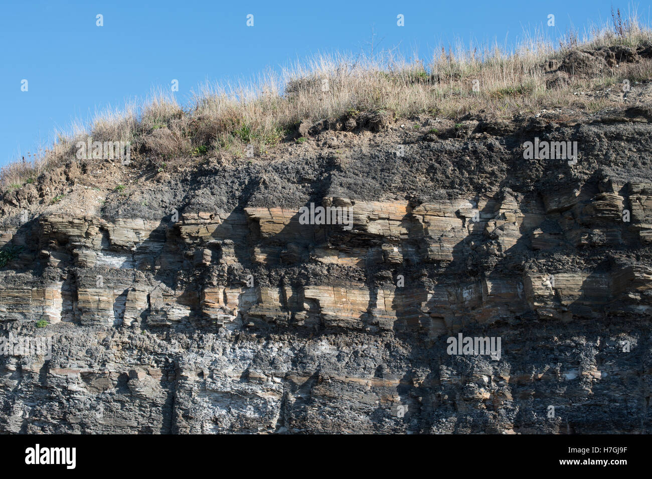 The cliffs at Kimmeridge Bay, Dorset, UK Stock Photo - Alamy