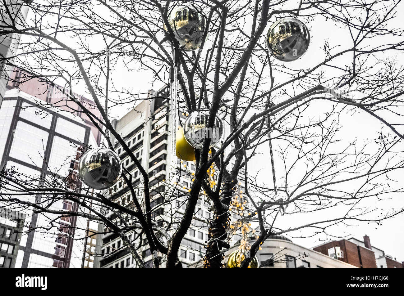 Montreal christmas snow hi-res stock photography and images - Alamy