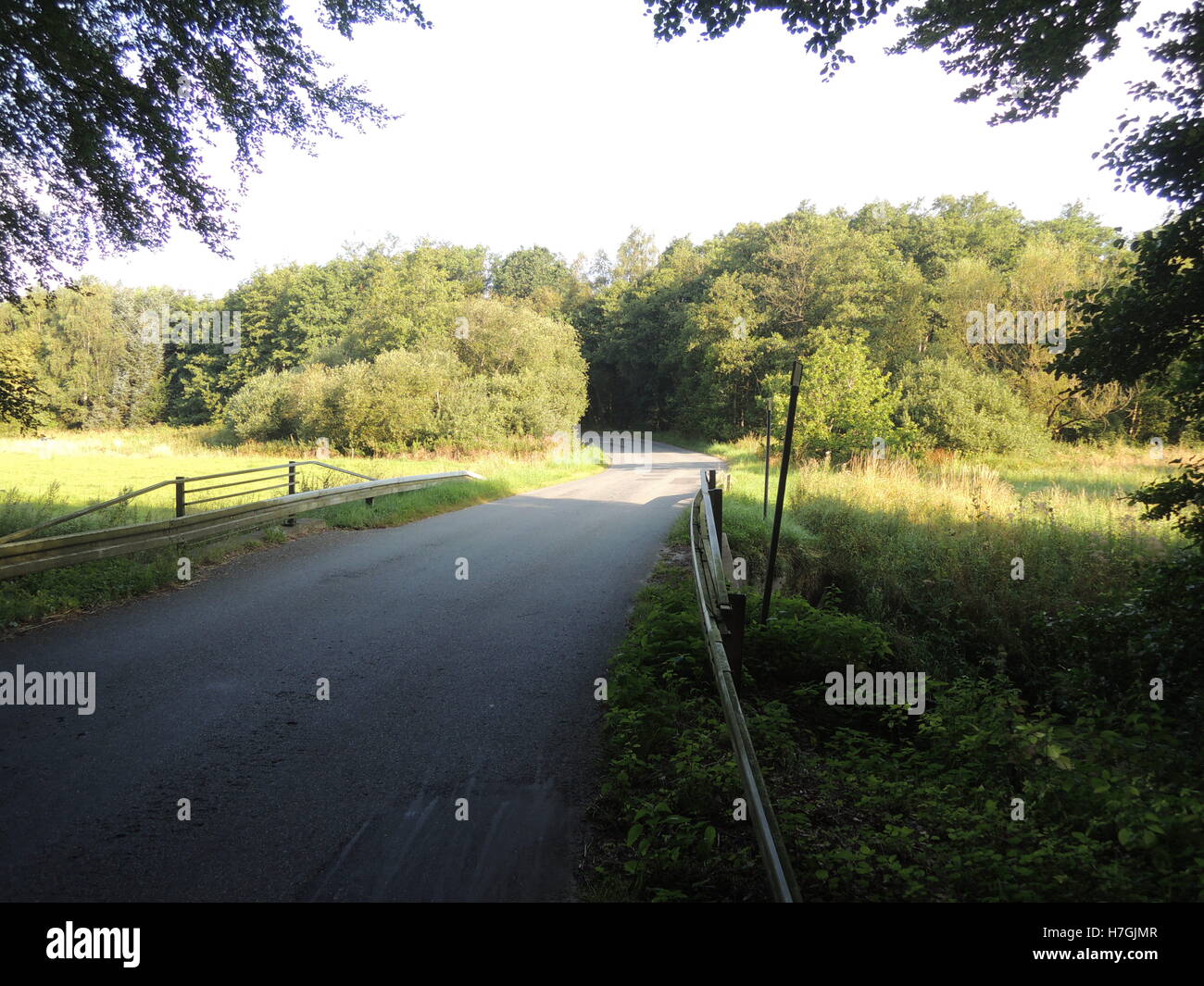 Small road passing a bridge on the forest edge Stock Photo - Alamy