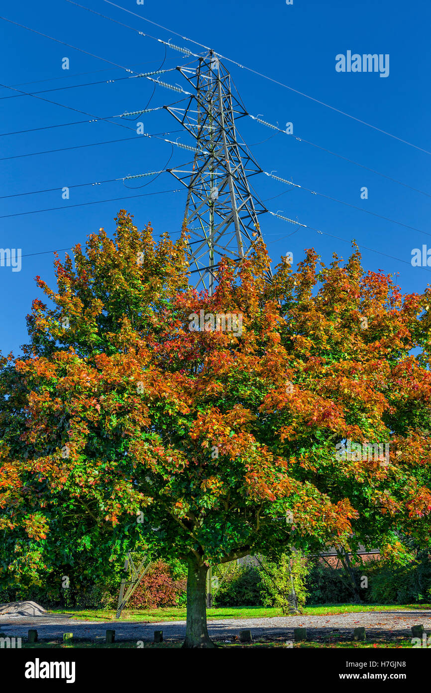 Nature Vs Man Made Structures