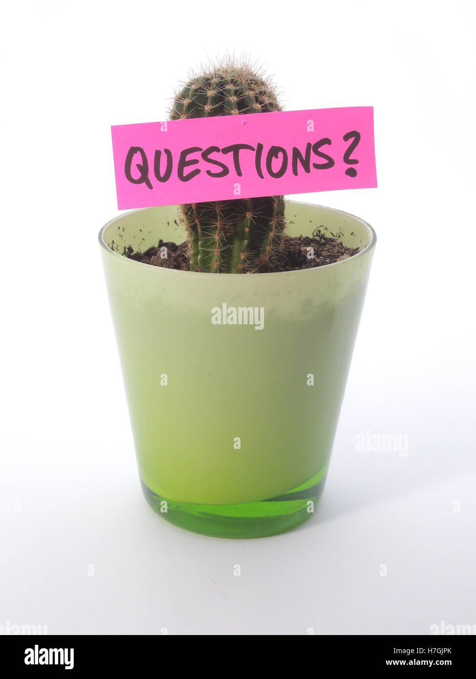 Cactus with the sign "Questions?". The cactus intends to symbolize that ...