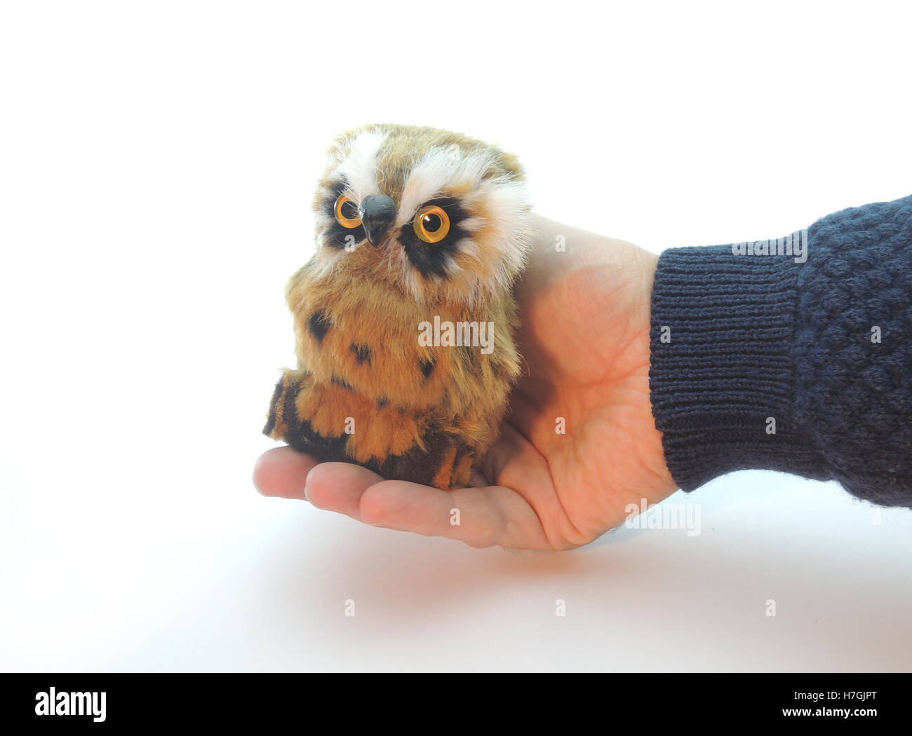 Knowledge transfer symbolized by handing over an owl - a symbol of ...