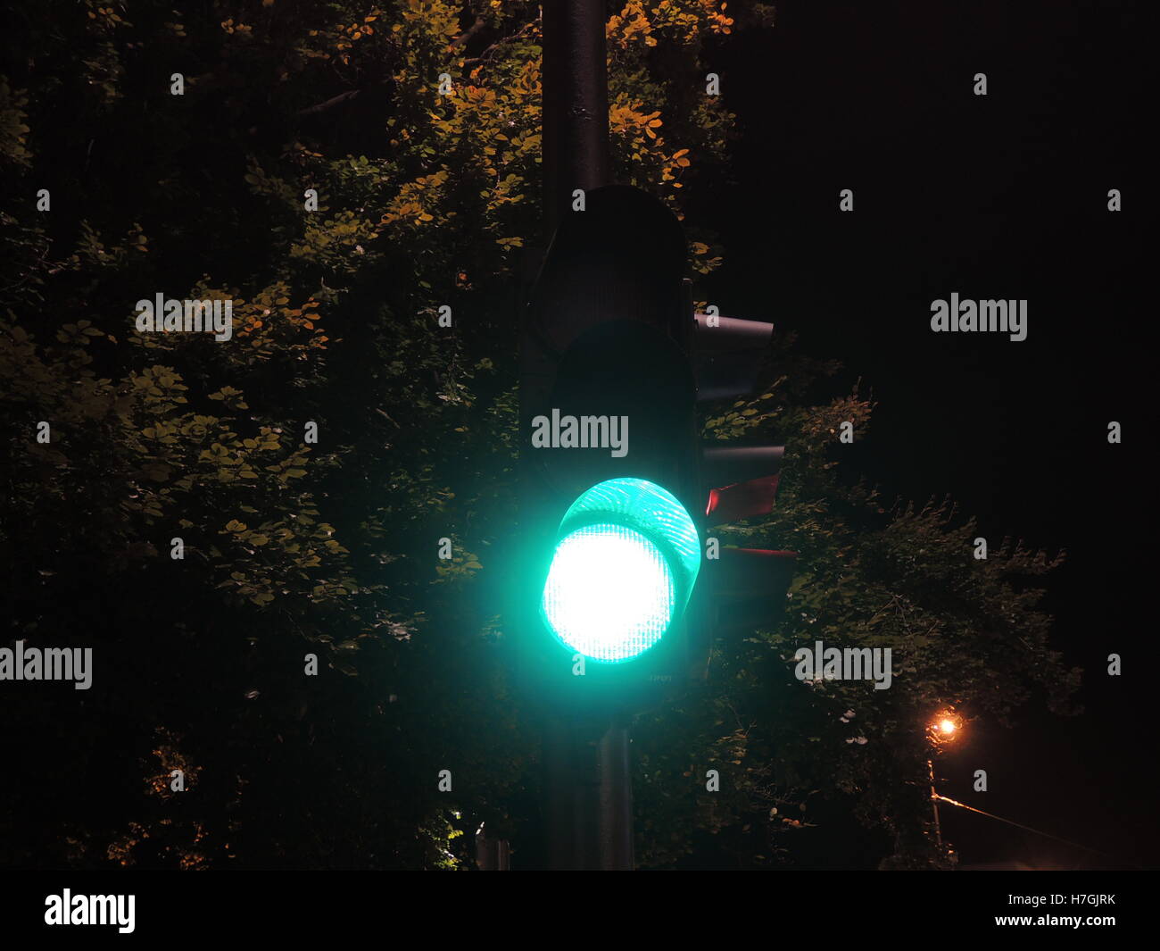 Traffic light at night-time showing green Stock Photo - Alamy