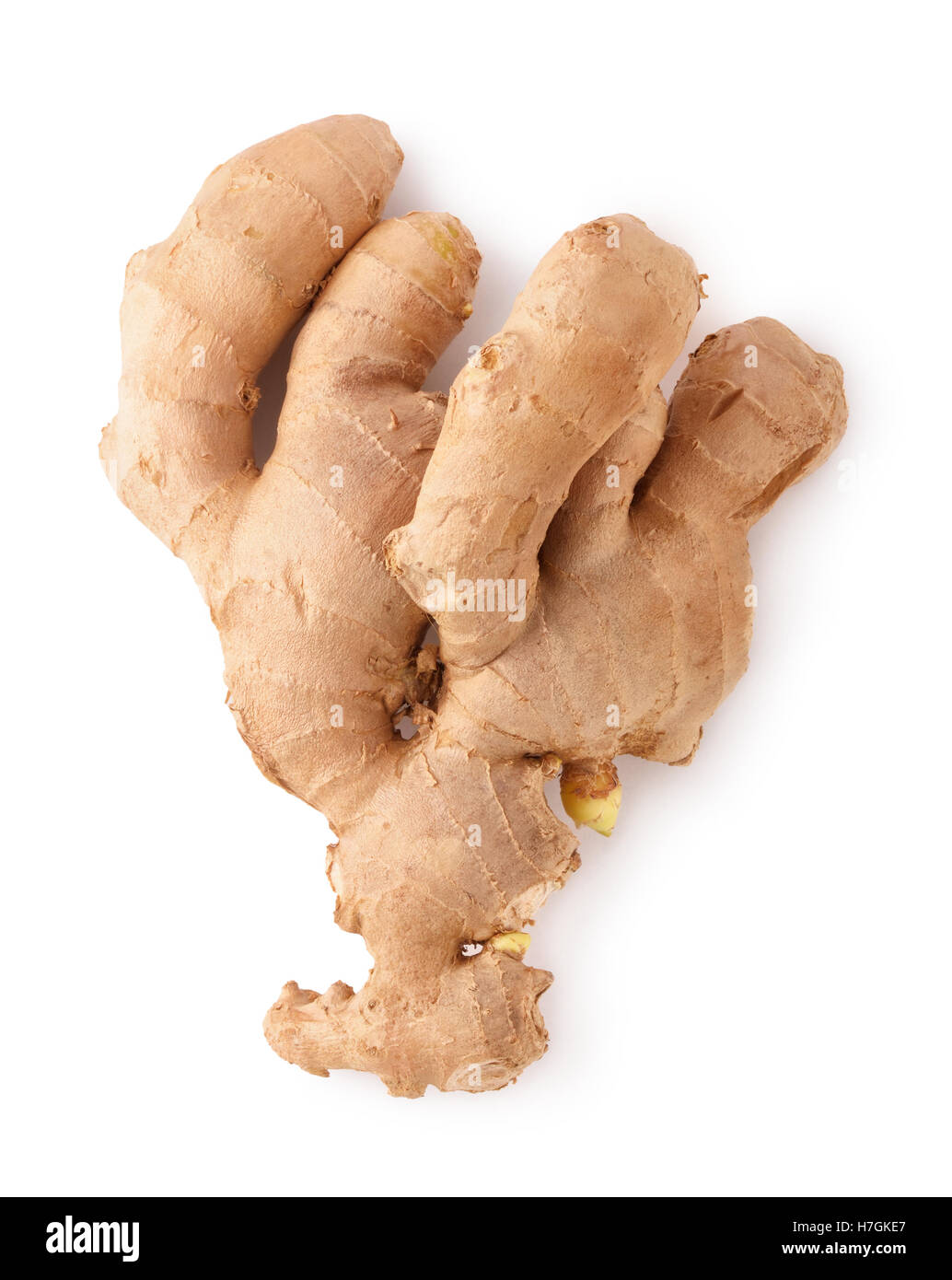 Root ginger hi-res stock photography and images - Alamy