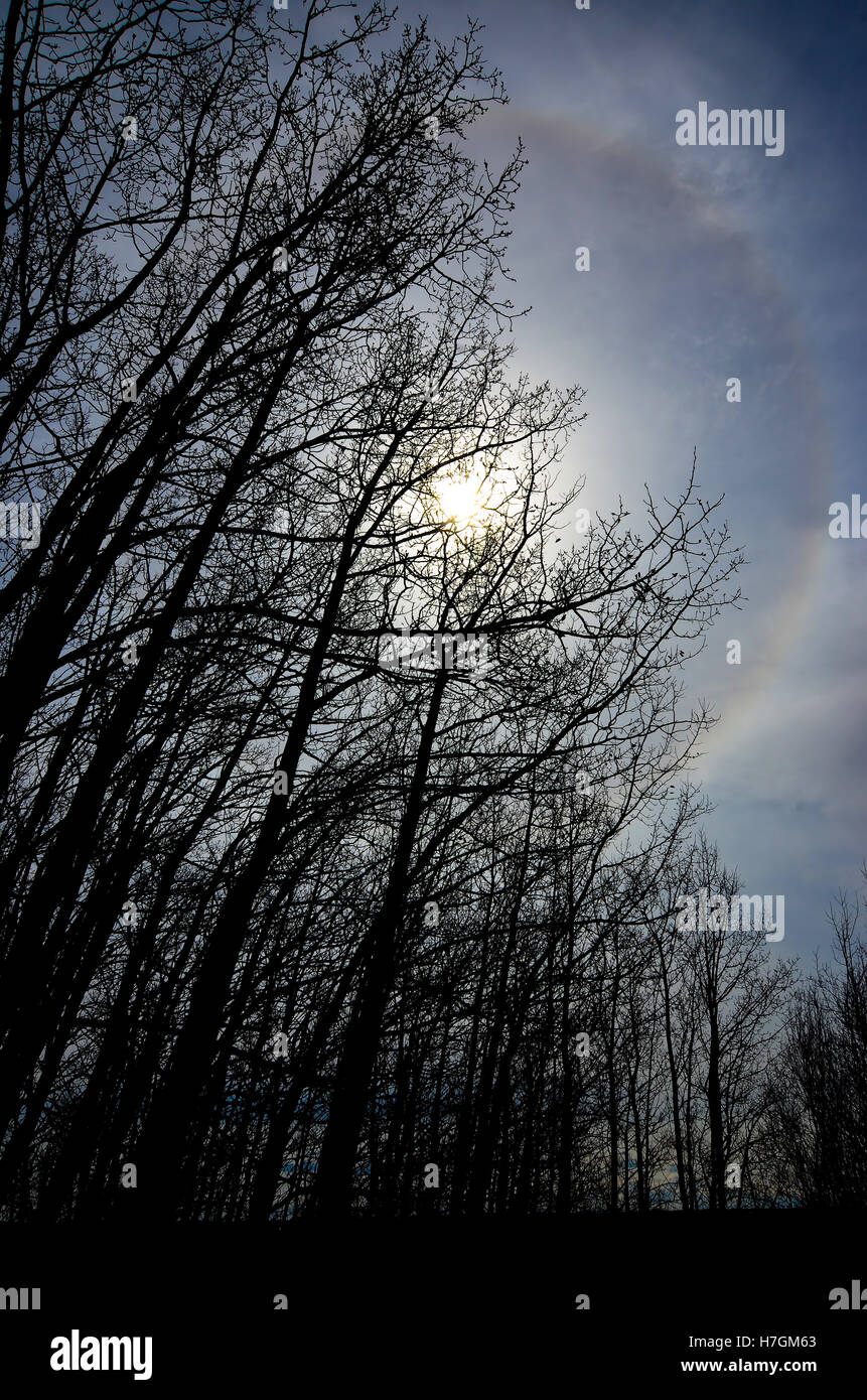 Sun Halo Silhouette Stock Photos & Sun Halo Silhouette Stock Images - Alamy