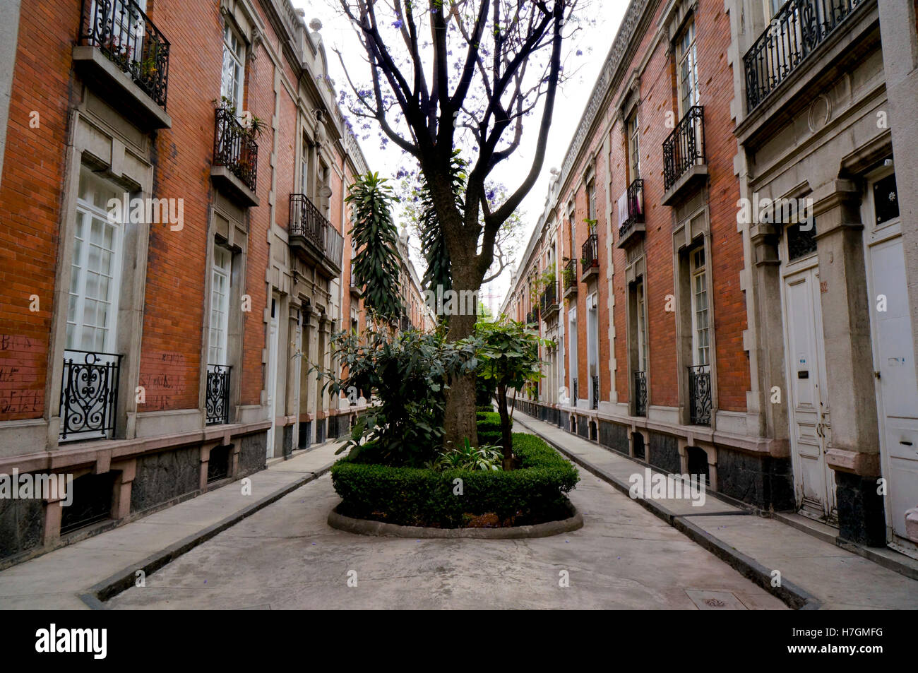 Colonia Juarez neighborhood in the CuauhtŽmoc borough of Mexico City ...