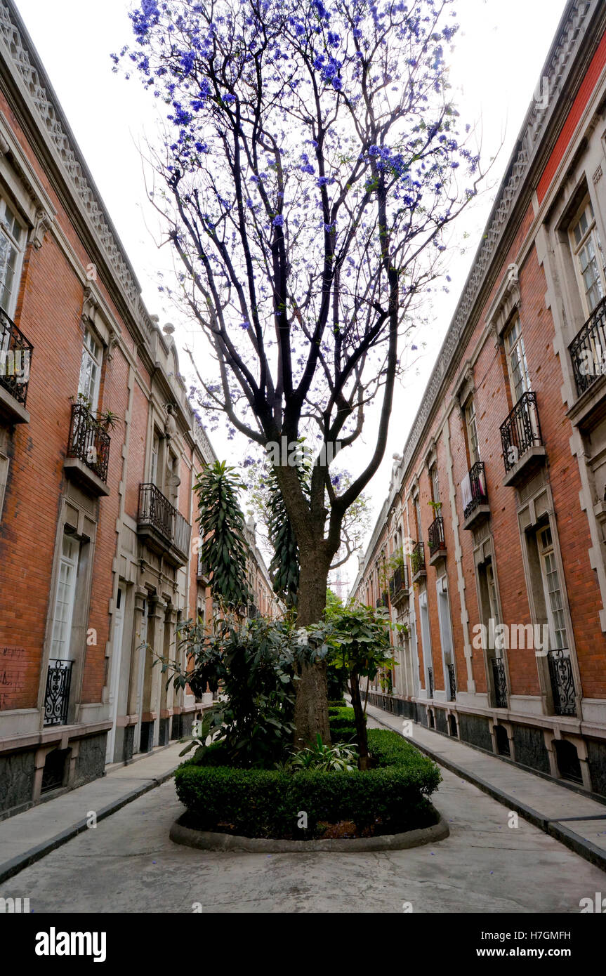 Colonia Juarez neighborhood in the CuauhtŽmoc borough of Mexico City ...
