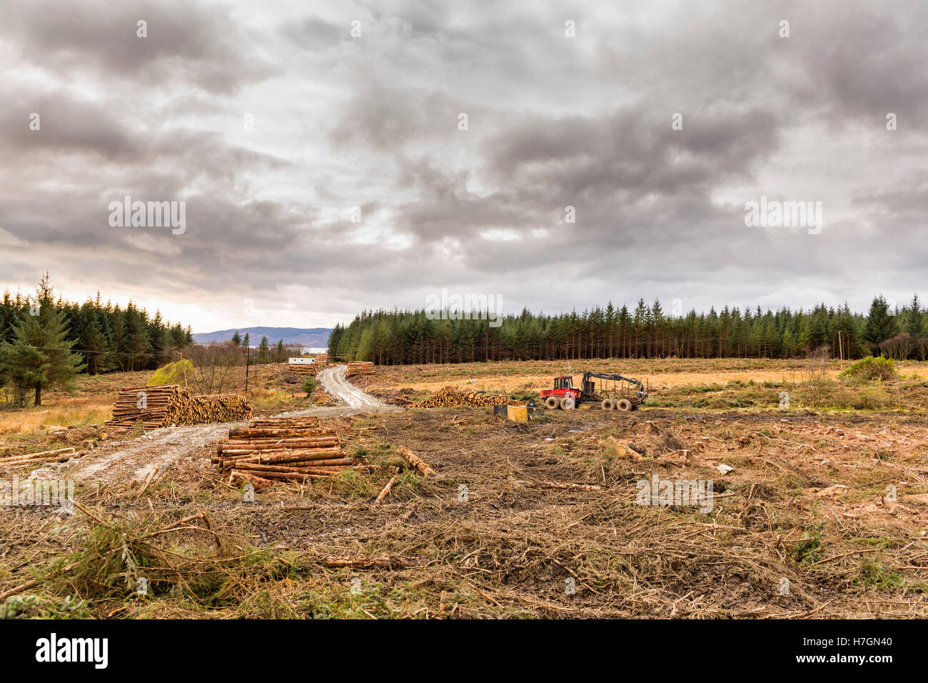 Timberjack High Resolution Stock Photography and Images - Alamy