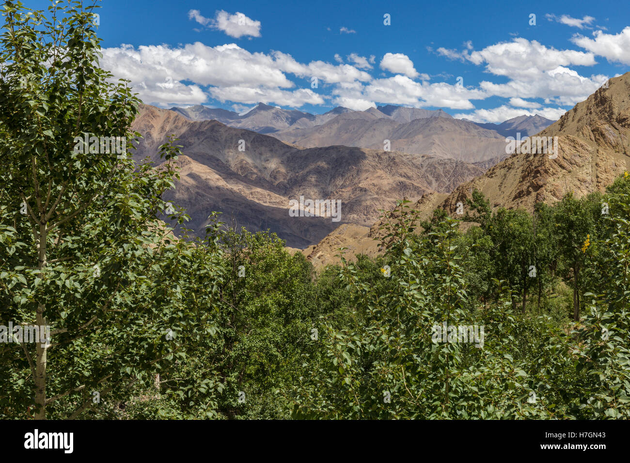 Himalayan mountains from the Hemis monastary Stock Photo - Alamy