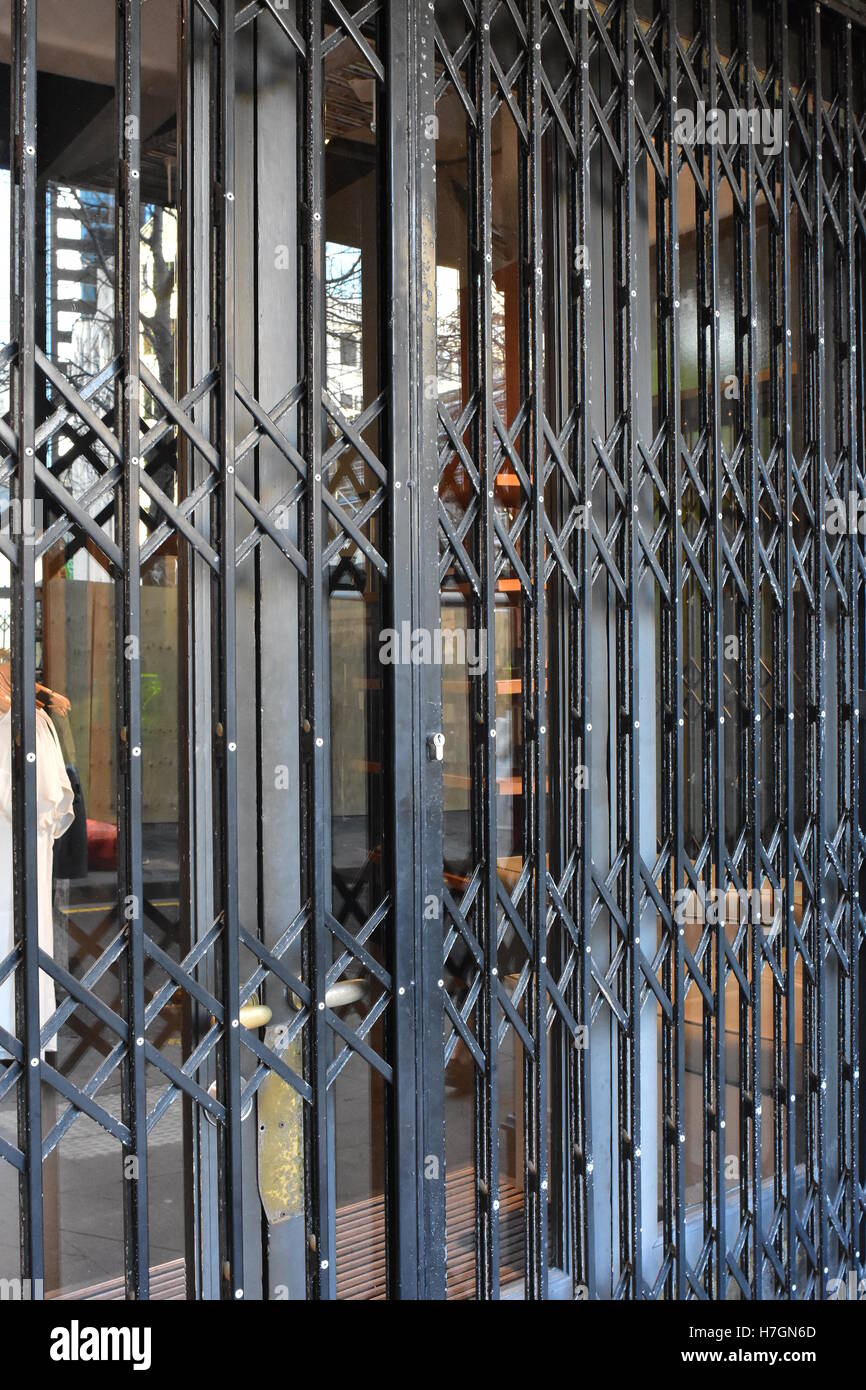 Metal Security Screen Door