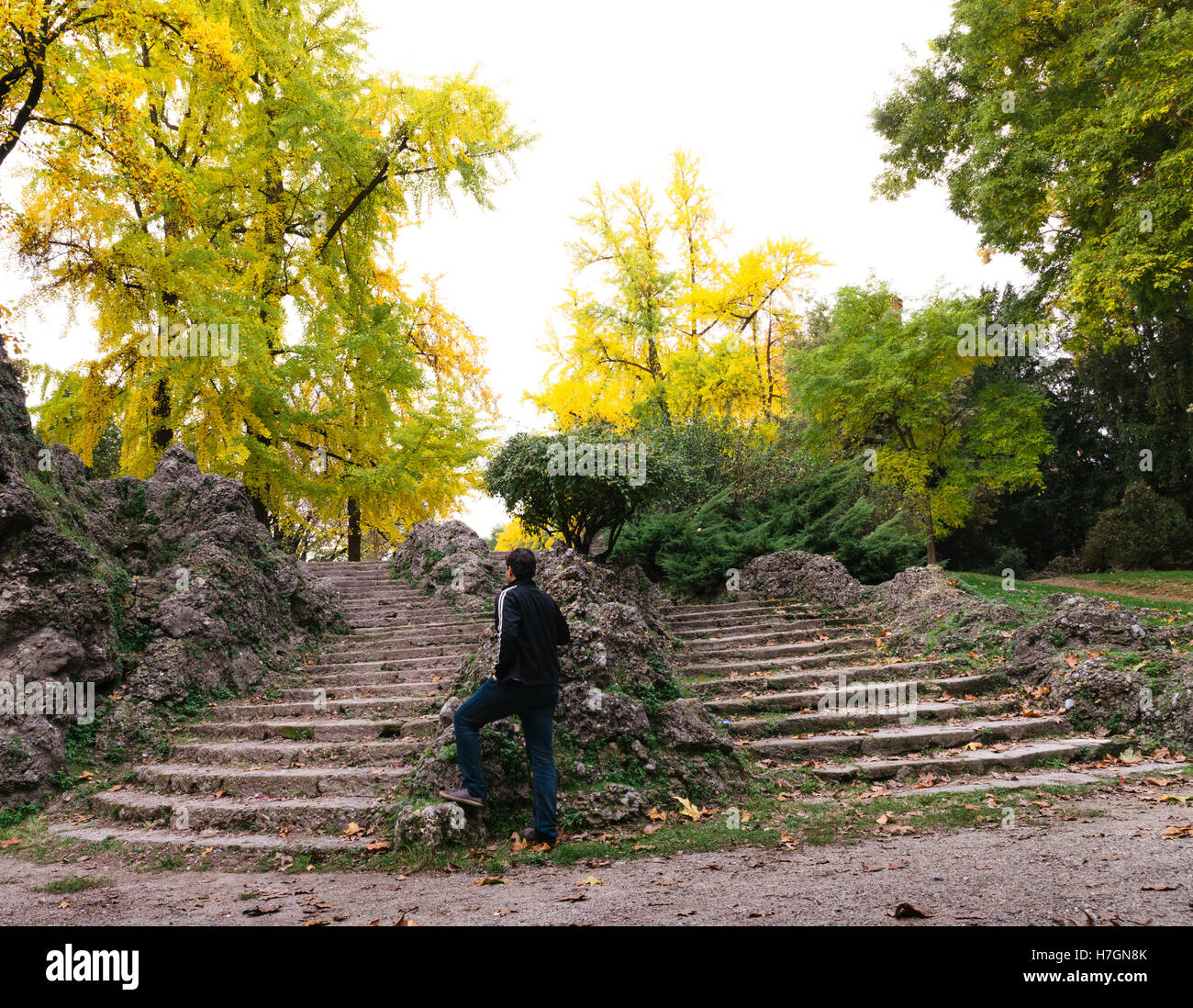 Tree next to stairs hi-res stock photography and images - Alamy