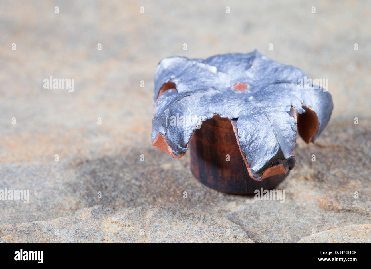 Example of a nine millimeter hollow point bullet expansion on impact ...