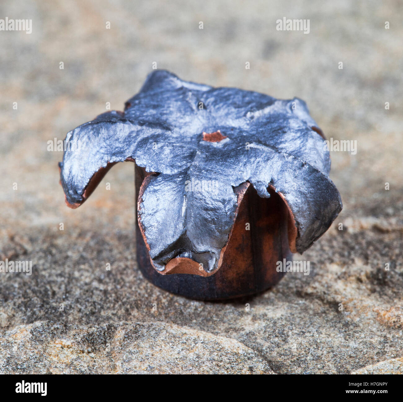 Copper plated hollow point bullet expanded after impact Stock Photo - Alamy