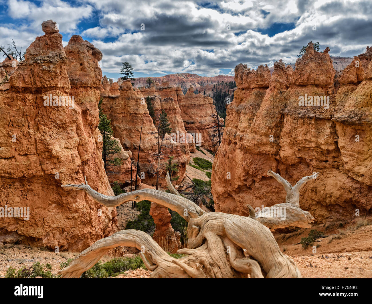 Hoodoos trail hi-res stock photography and images - Alamy