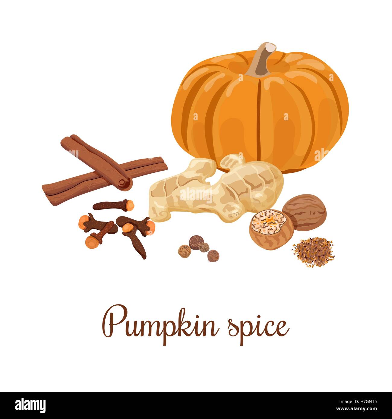Pumpkin spice. Vector illustration. Nutmeg, ginger, cloves, cinnamon, allspice. Spices set. For ...