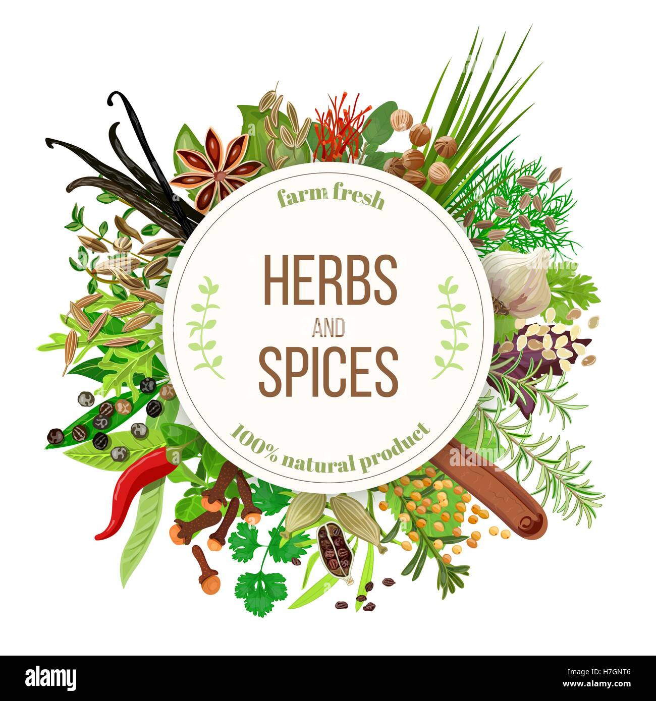 Set delicious spices food Stock Vector Images - Alamy