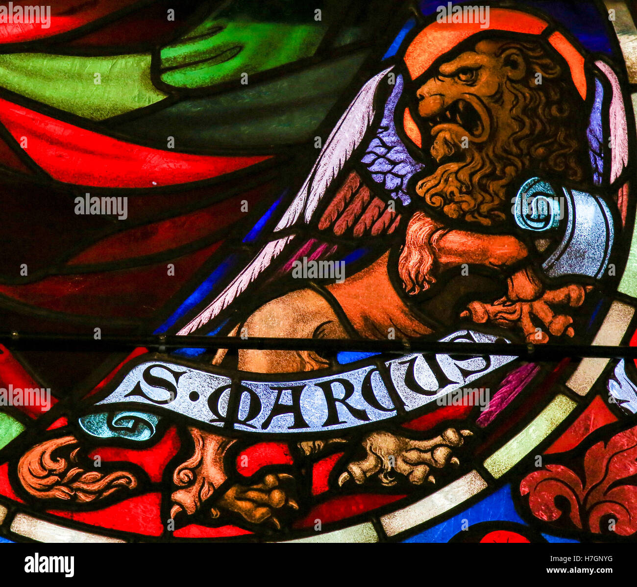 Stained Glass window depicting a lion, symbol of Saint Mark the ...