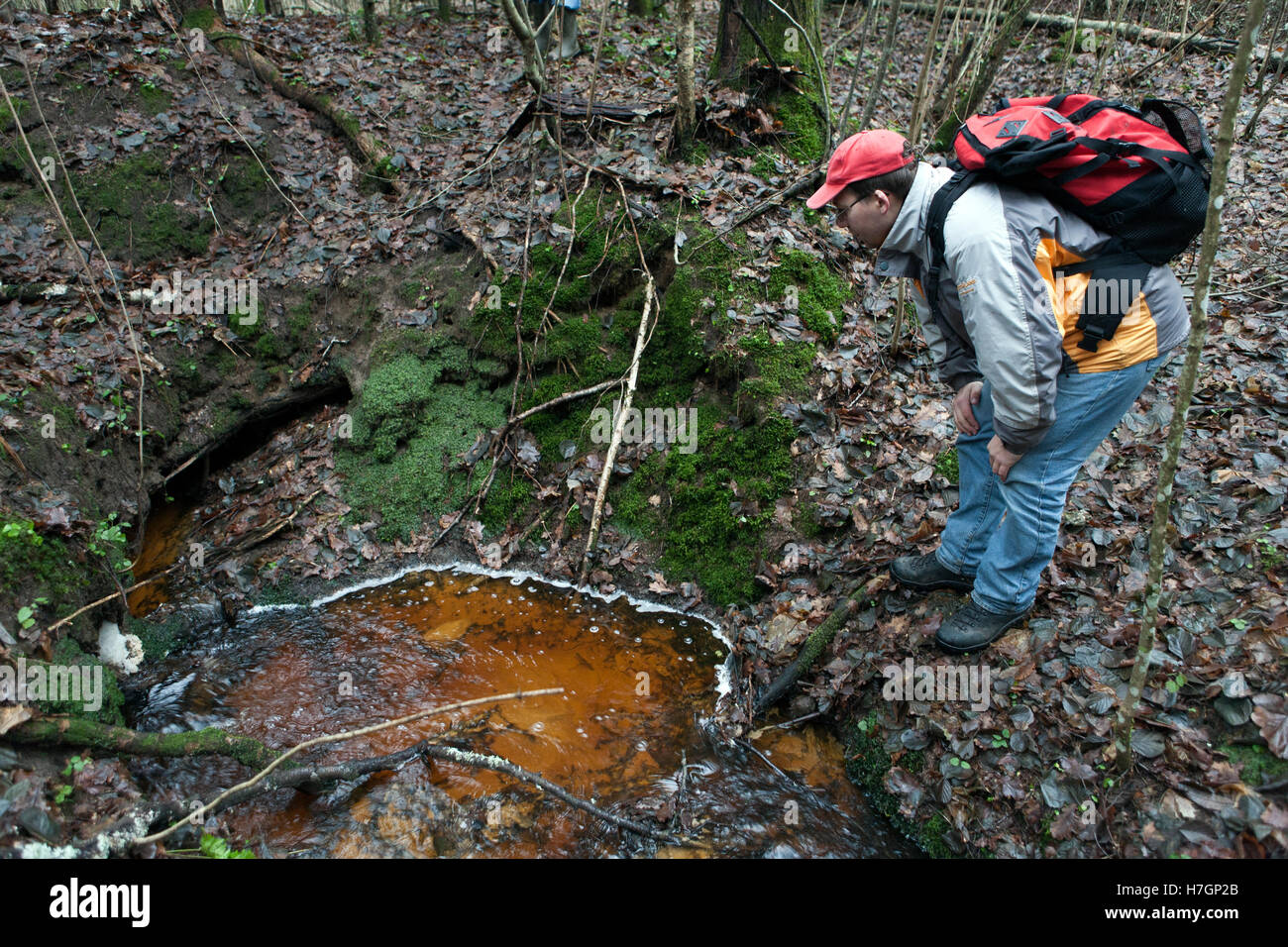 Man exploring creek in forest wilderness in Talsu region Kurzeme Latvia ...