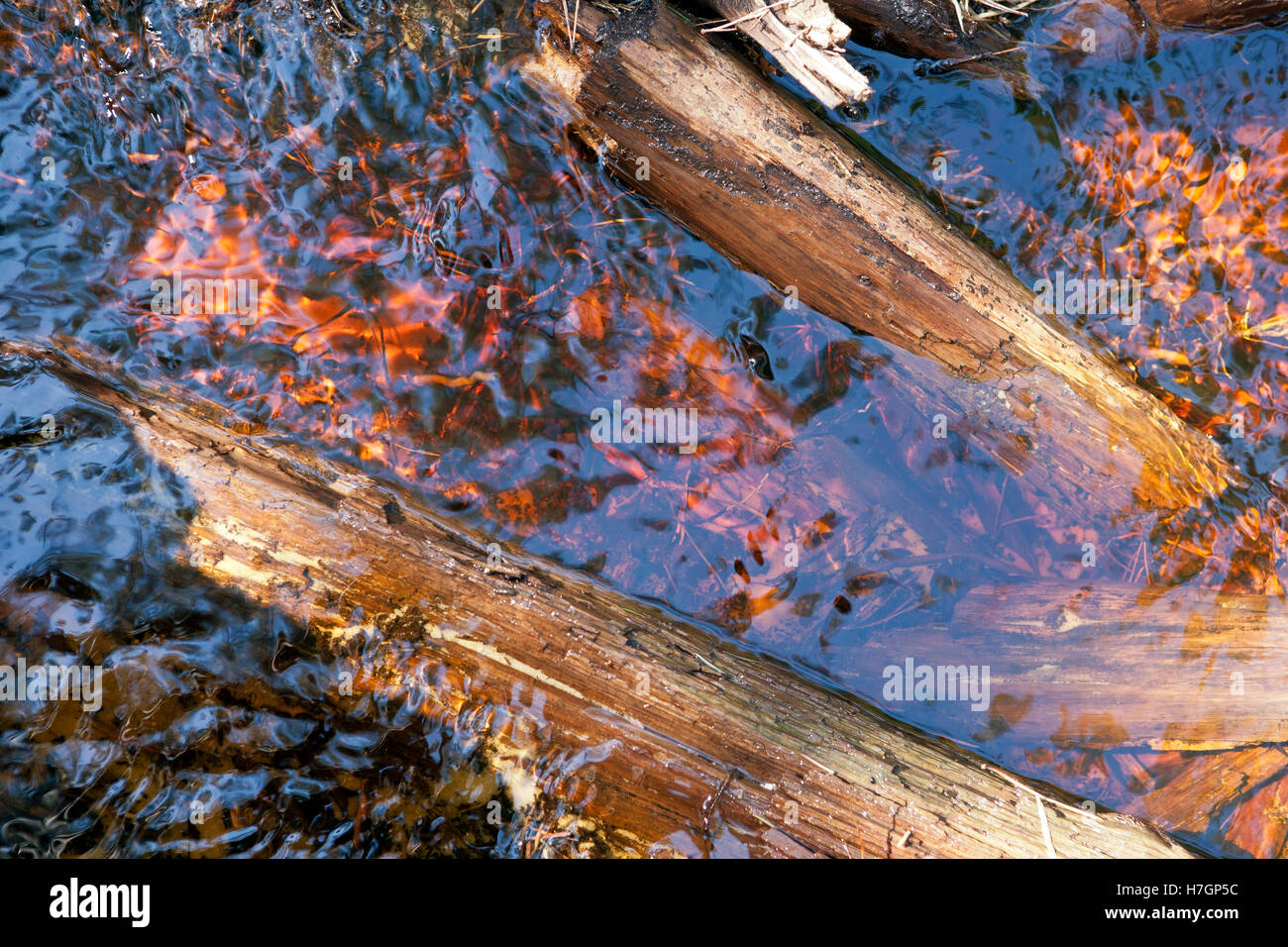Reflections in river water bottom hi-res stock photography and images ...