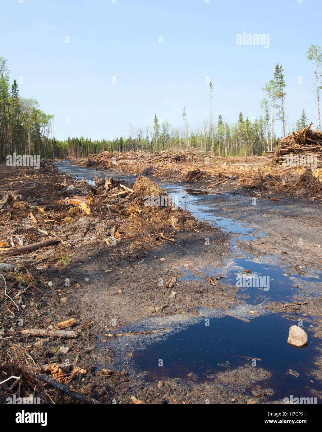 Logging in saskatchewan hi-res stock photography and images - Alamy