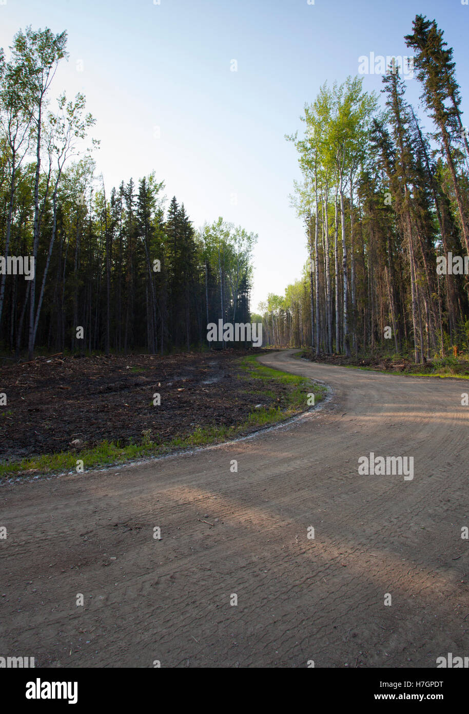 Dirt road that is winding through a forest in Saskatchewan Canada Stock ...