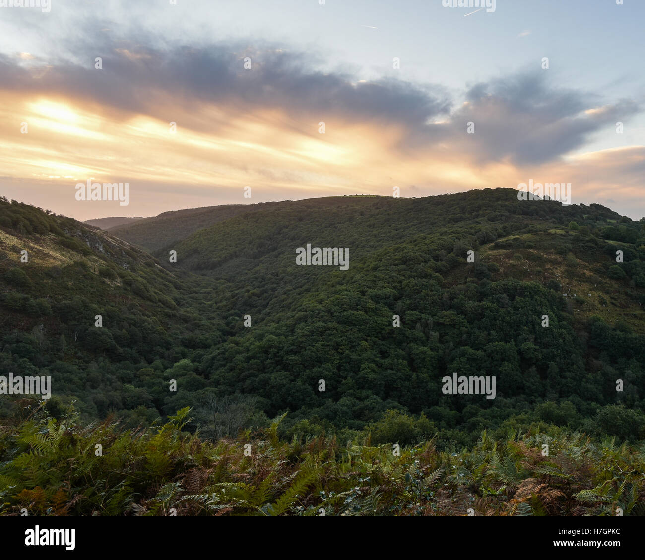 Teign valley hi-res stock photography and images - Alamy