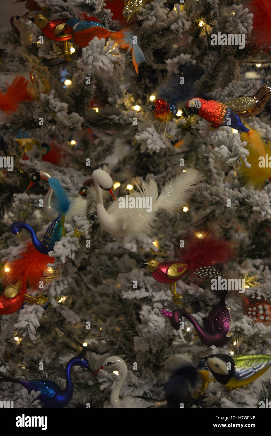 Lamps and birds hi-res stock photography and images - Alamy