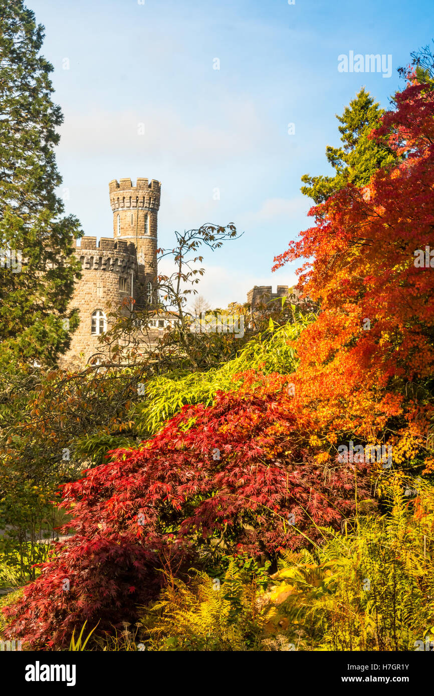 Cyfarthfa castle in merthyr tydfil hi-res stock photography and images ...